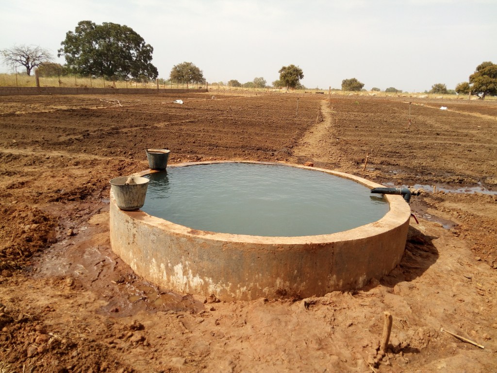 Construction de 24 bassins pour l’irrigation – ONG – FODDE